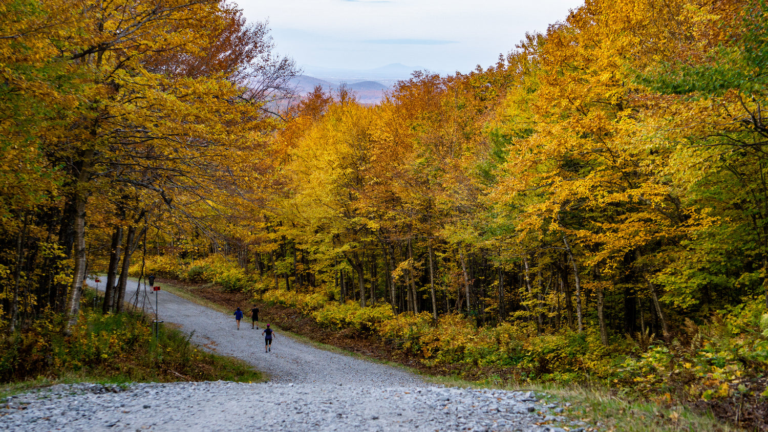 Best hiking trails in Mont Orford in the fall – Spirit Bird Photography